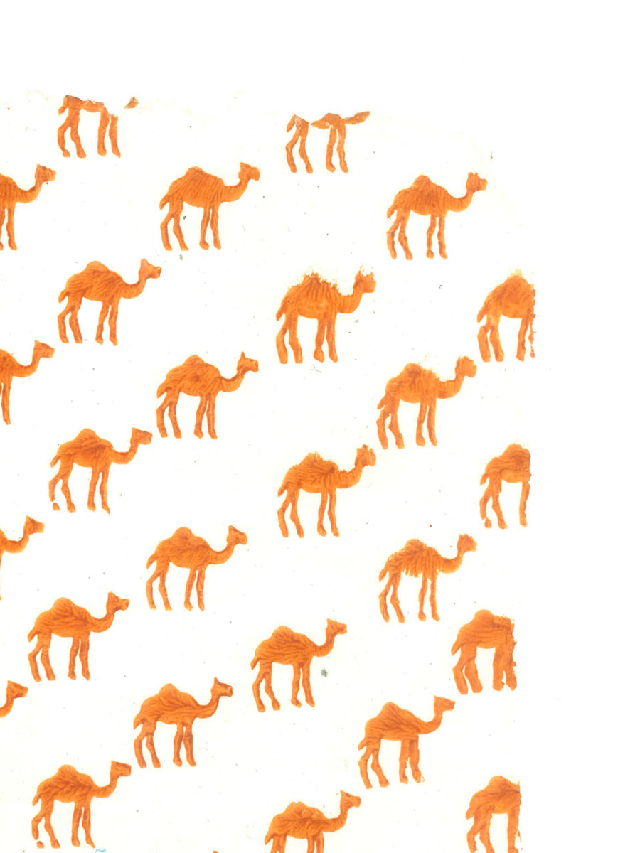 Camels are Orange